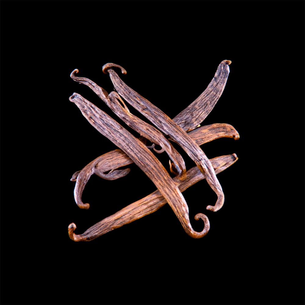 Tequila Don Julio 1942 Cask Finish Release - 2024 | BlockBar